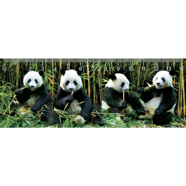 3D joonlaud "Pandad" - AHHAA Teaduspood
