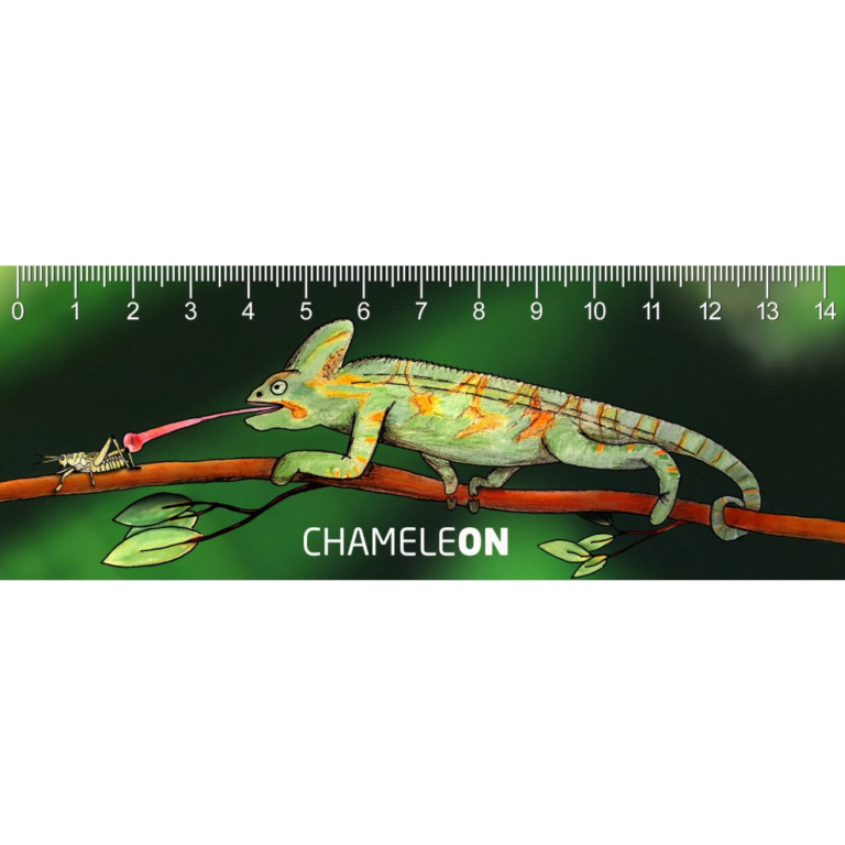 3D joonlaud "Kameeleon" - AHHAA Teaduspood