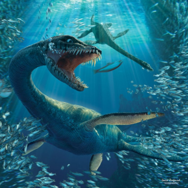 3D magnet "Plesiosaurus" - AHHAA Teaduspood