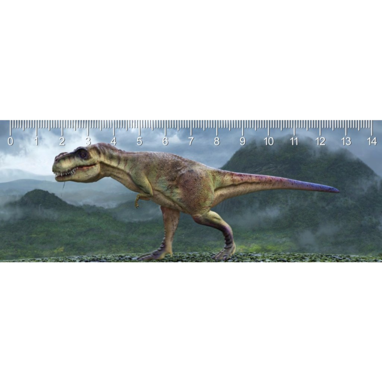 3D joonlaud "T-Rex" - AHHAA Teaduspood