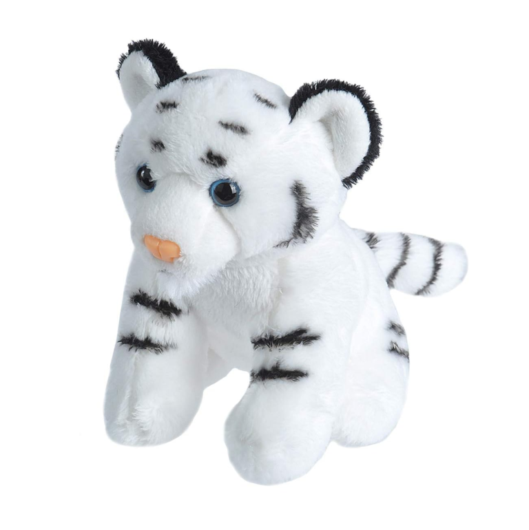 Valge tiiger - AHHAA Teaduspood