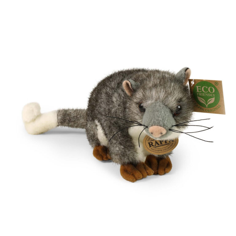 Rappa Opossum - AHHAA Teaduspood