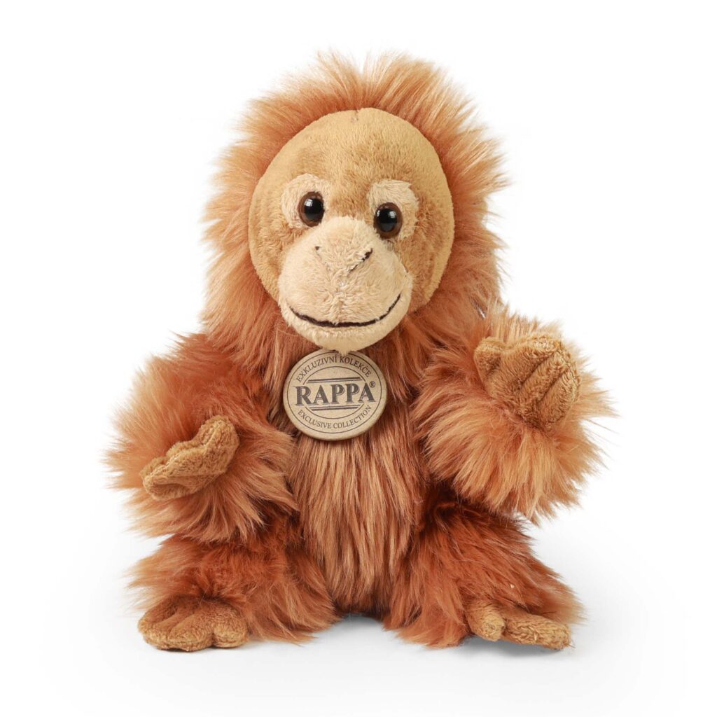 Rappa Orangutang - AHHAA Teaduspood